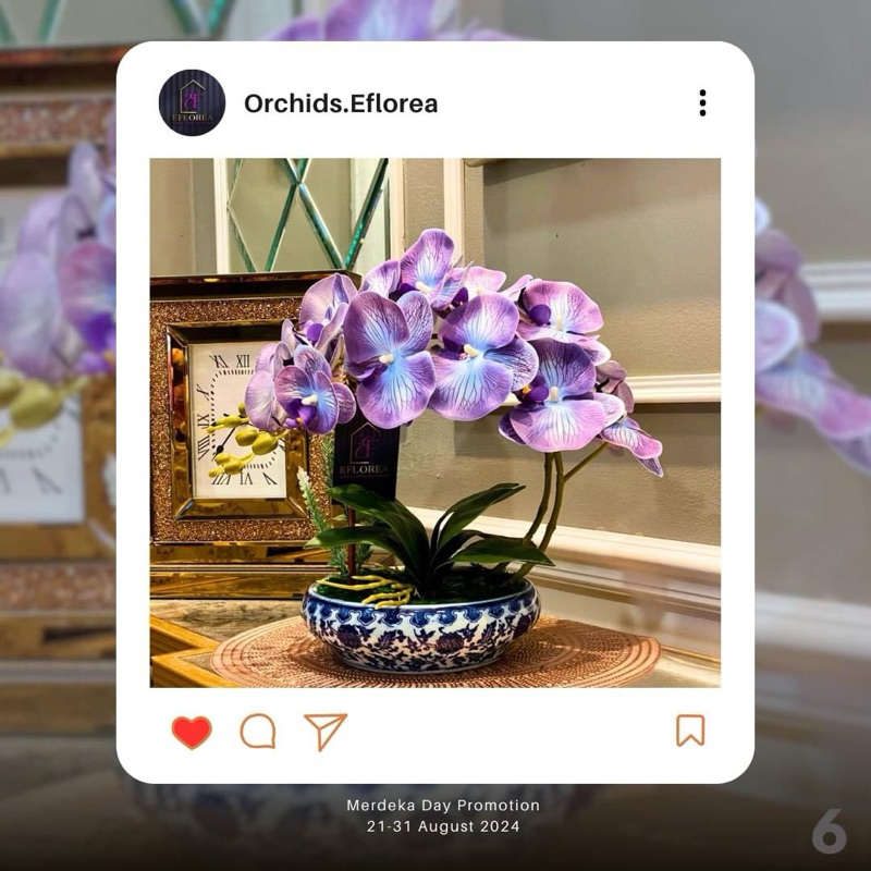 EFLOREA Gubahan bunga orkid- 2 stalks orchids 3D Latex - pasu leper ...