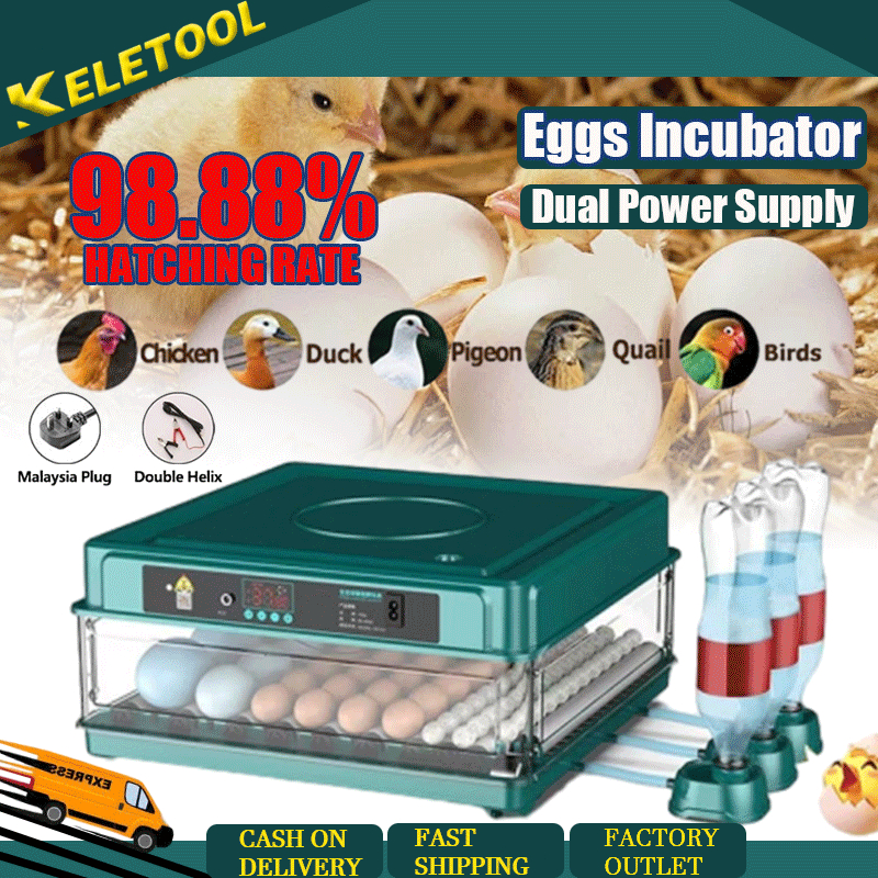 Automatic Incubator Thermostatic Egg Automatic inkubator penetasan ...