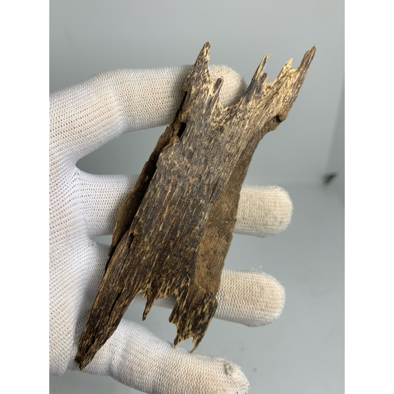 High Grade Agarwood Wood Chip （Piece） | Shopee Malaysia