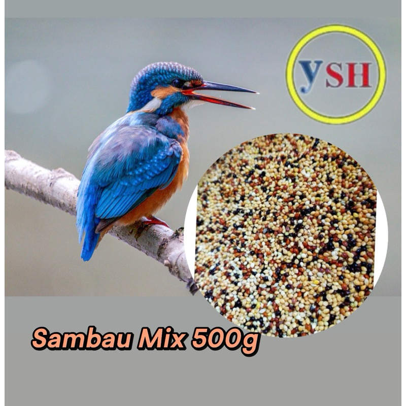 Mix Millet / Sambau Burung Campur 500g | Shopee Malaysia