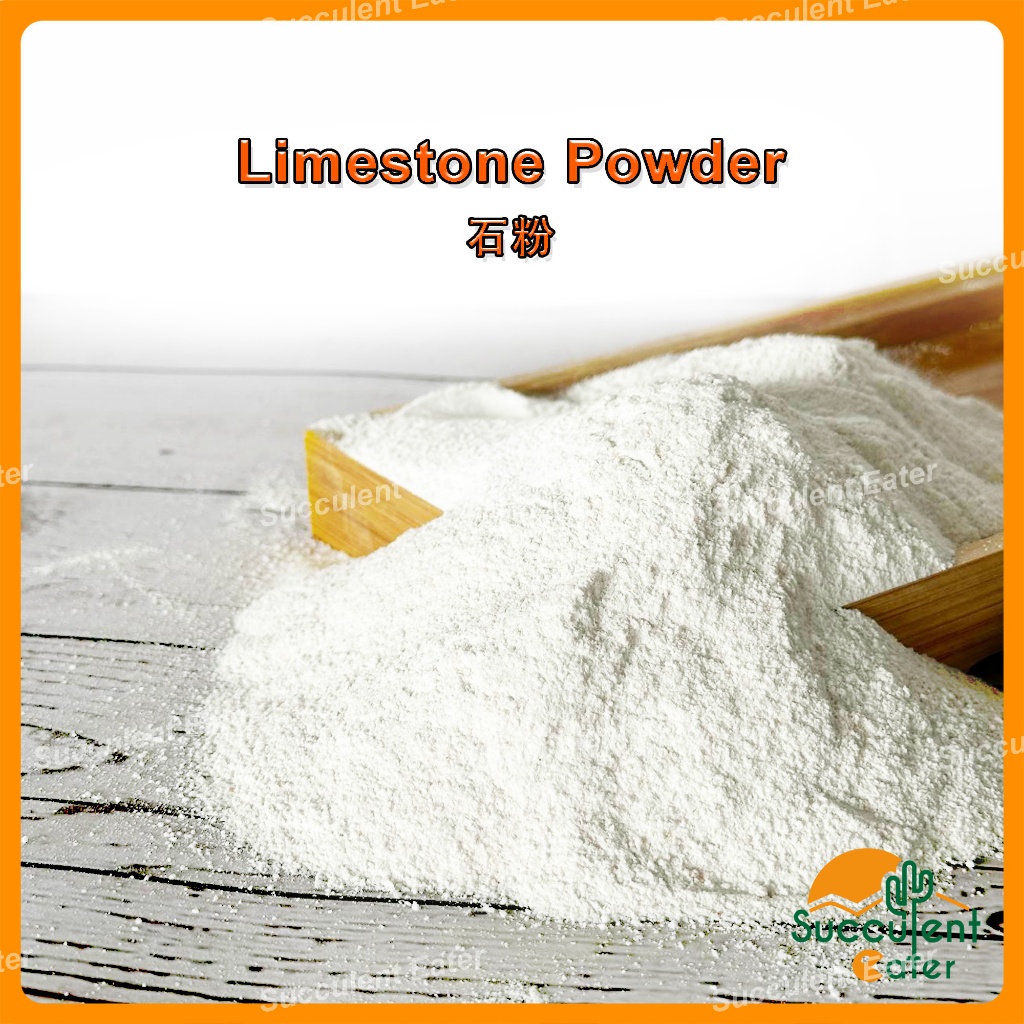 1kg Stone Lime Powder Kapur Pertanian Dolomite Calcium Hydroxide ...