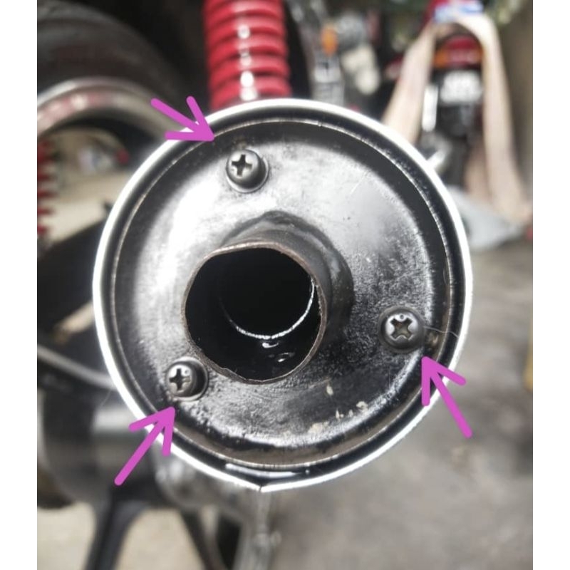 (24) 1PCS SKRU SCREW BUNGA SILENCER RXZ 3BS MILI CATALYZER ADA TITIK ...