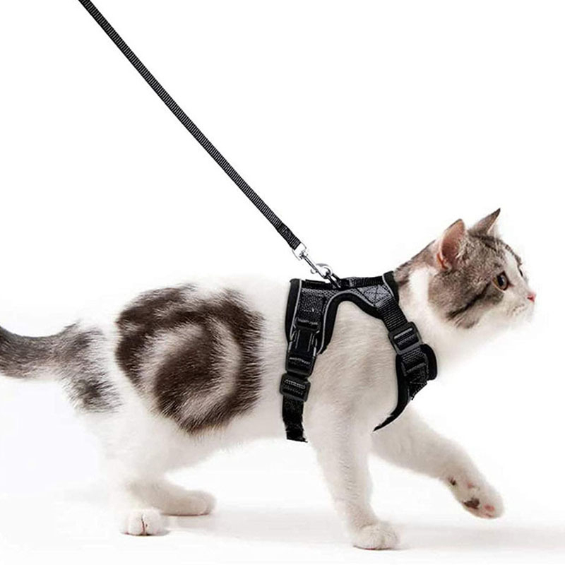 Pet Safety Harness Adjustable Type Tali Kucing Bawa Jalan Tali Anjing ...