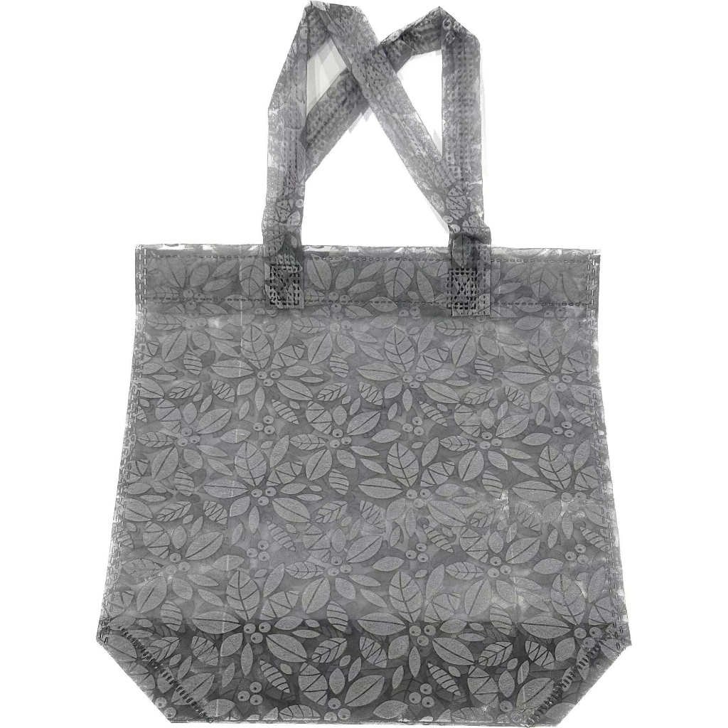 10 pcs/pkt Non-Woven Recycle Bag | Door Gift Goodies Bag | Paper Bag ...