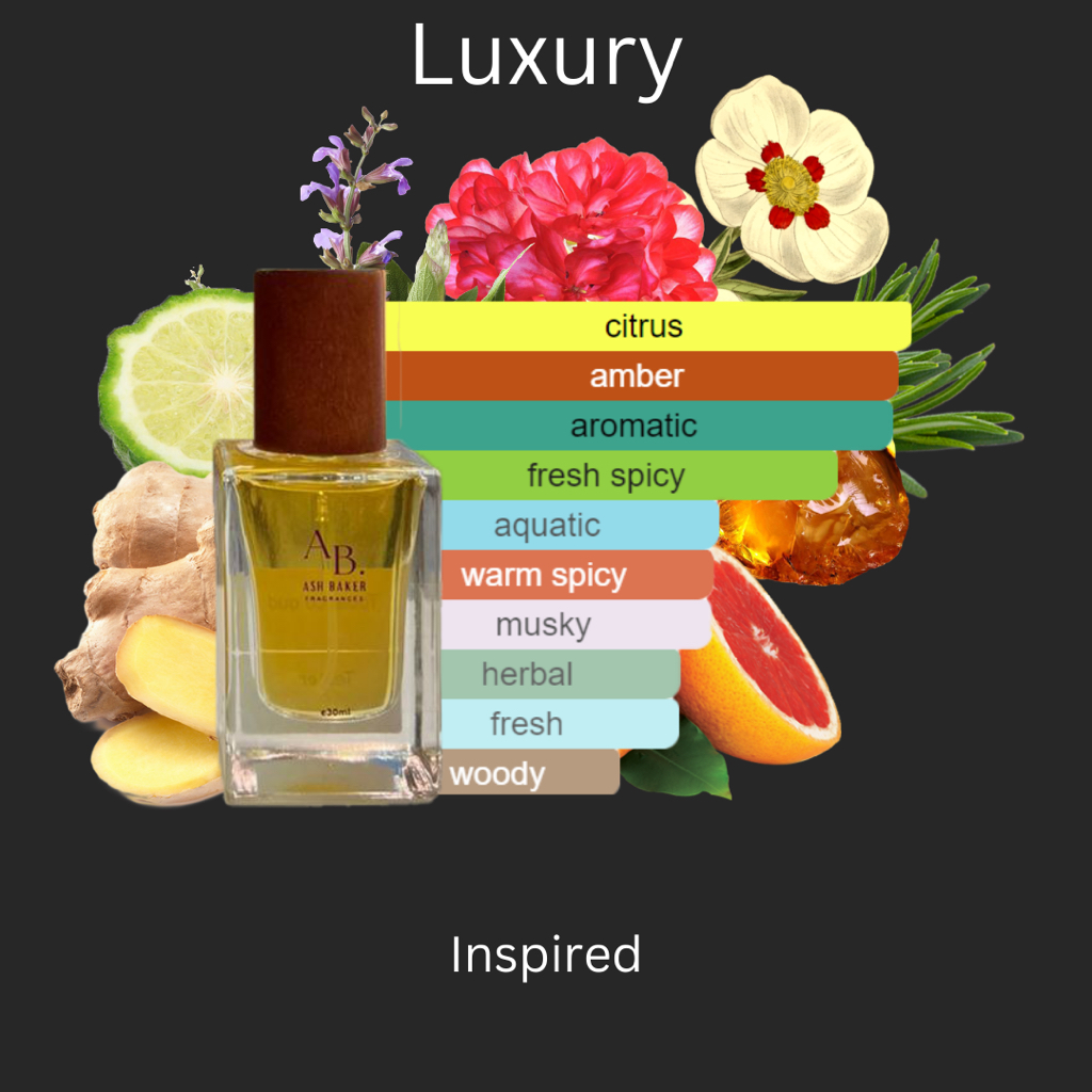 Immensite Luxury Perfume ) By Ash Baker Best Long Lasting Perfume ...