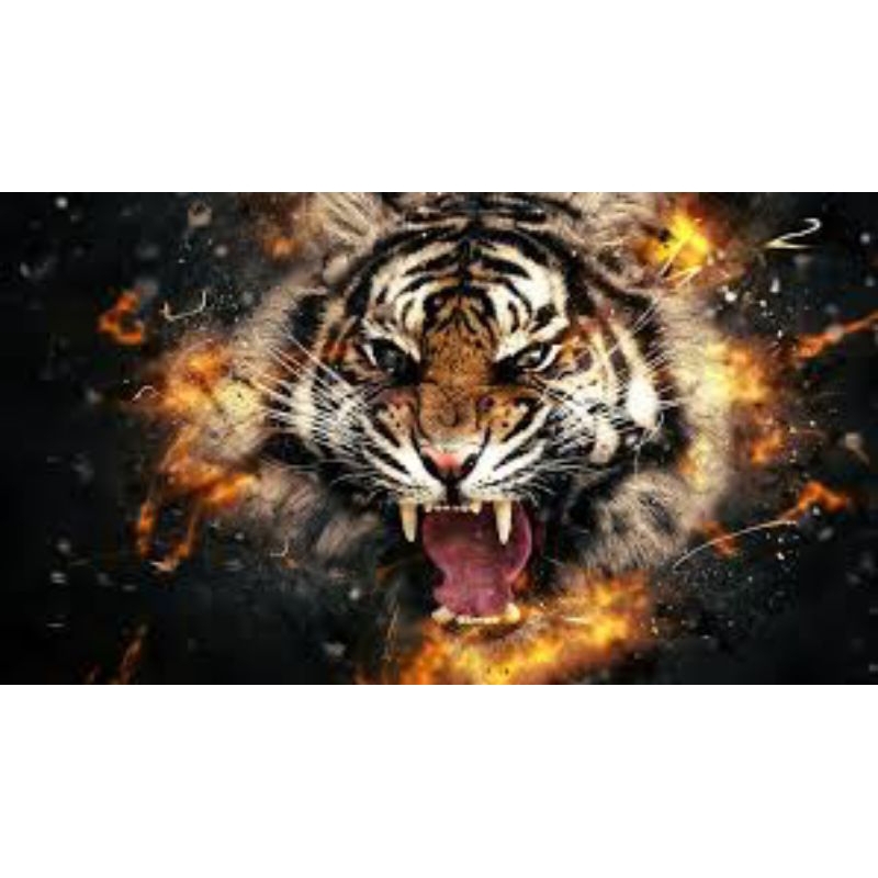 ILMU HARIMAU LORENG GANAS ( TINGKAT MAHAGURU ) | Shopee Malaysia