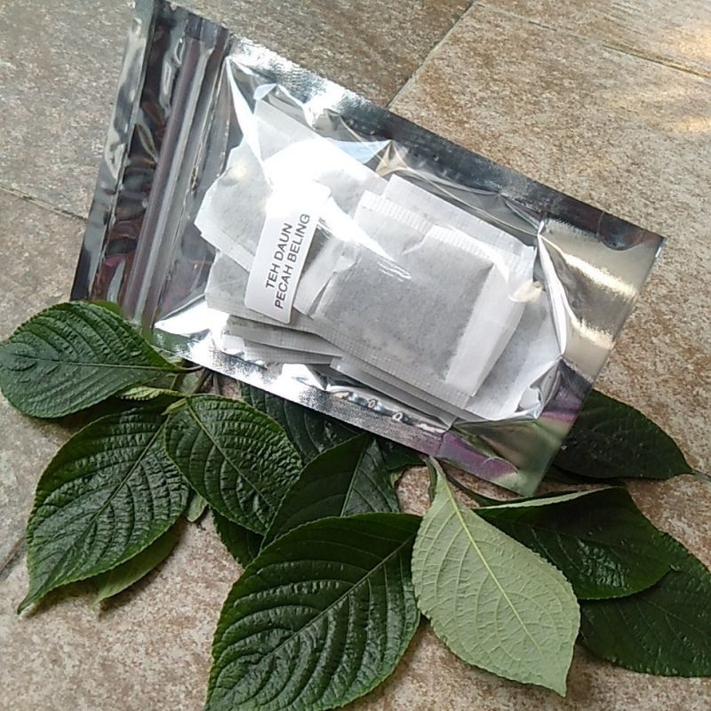 Teh Daun Pecah Beling /Kaca merawat batu karang , Kencing tidak lawas ...