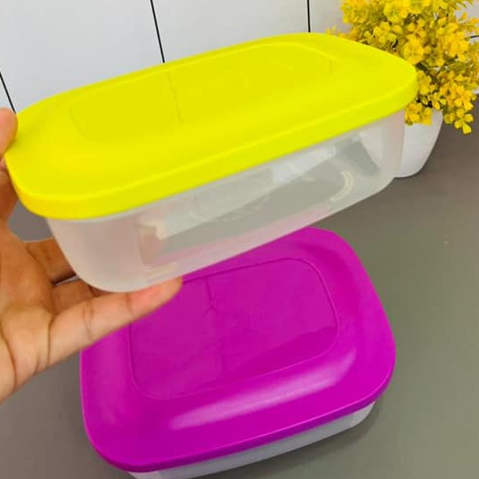 Tupperware 500ml Small Rectangular Saver Lunch Box for Kid (Colorful ...