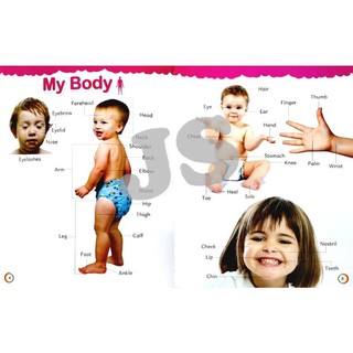 MY FIRST 1000 WORDS HARD COVER LEARNING CHILD'S VOCABULARY - MIND TO ...