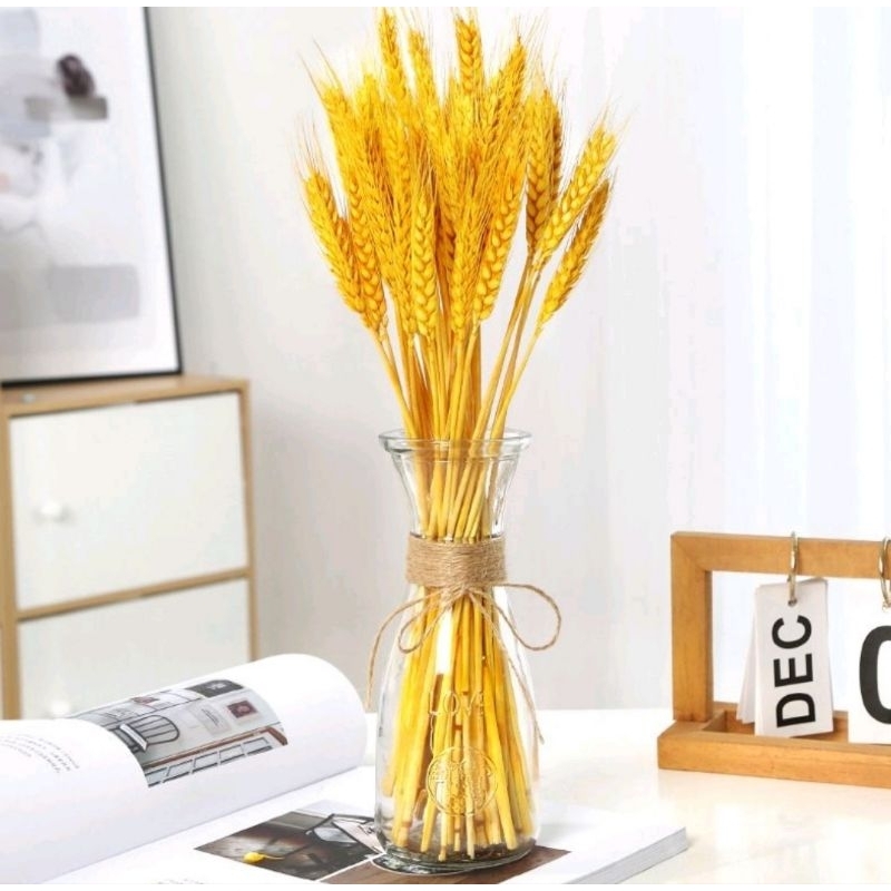 10pcs Artificial Wheat GrainNatural/Wheat Dried Flowers Indoor Home ...