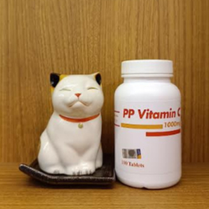 PP VITAMIN C 1000MG 100 TABLETS exp 11/2025 | Shopee Malaysia