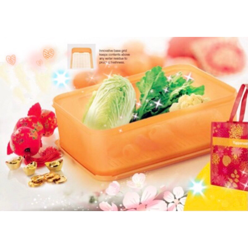 Tupperware Modular Keeper With Grid 9.4L | Shopee Malaysia