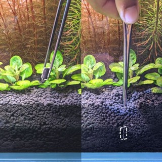 ARK - Root Tabs ( Aquatic Plant Based Fertilizer ) | Shopee Malaysia