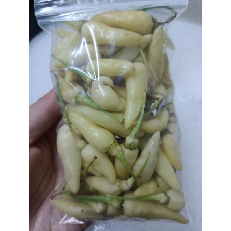 LADA PUTIH ORI SABAH 100g | Shopee Malaysia