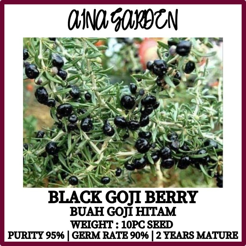 HSK [10pc] BLACK GOJI BERRY SEED | BUAH GOJI HITAM | BIJI BENIH BUAH ...