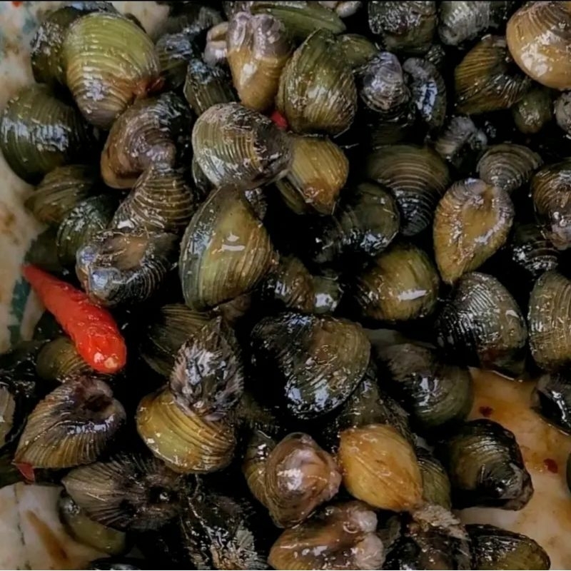 ETOK SALAI KASA KELANTAN 400G CHEF DANIAL (READY TO EAT) | Shopee Malaysia