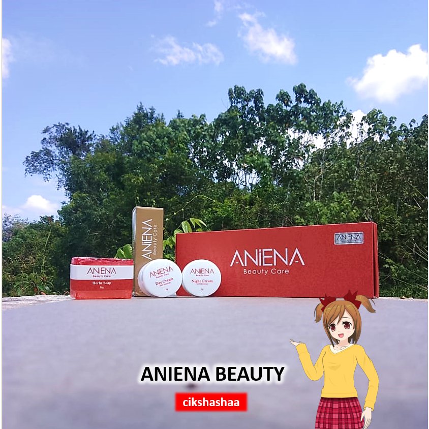 ANIENA BEAUTY SET 3 IN 1 & SERUM - MALAM ( NIGHT CREAM ) SIANG ( DAY ...