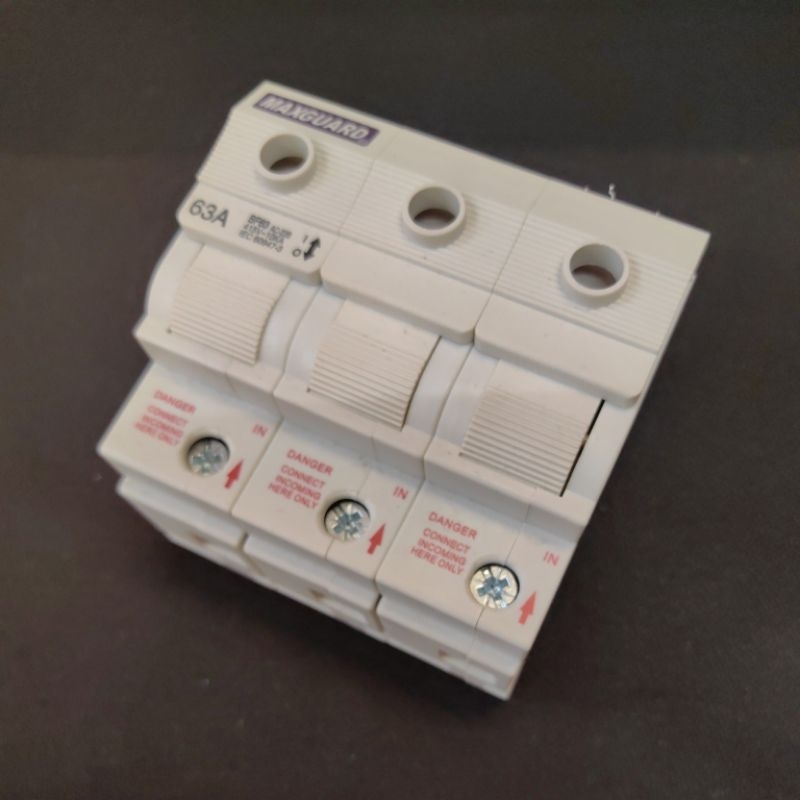 Maxguard 32A 2P 63A 2P Switchfuses 1 Pole 3 Pole (SF series) GENUINE ...