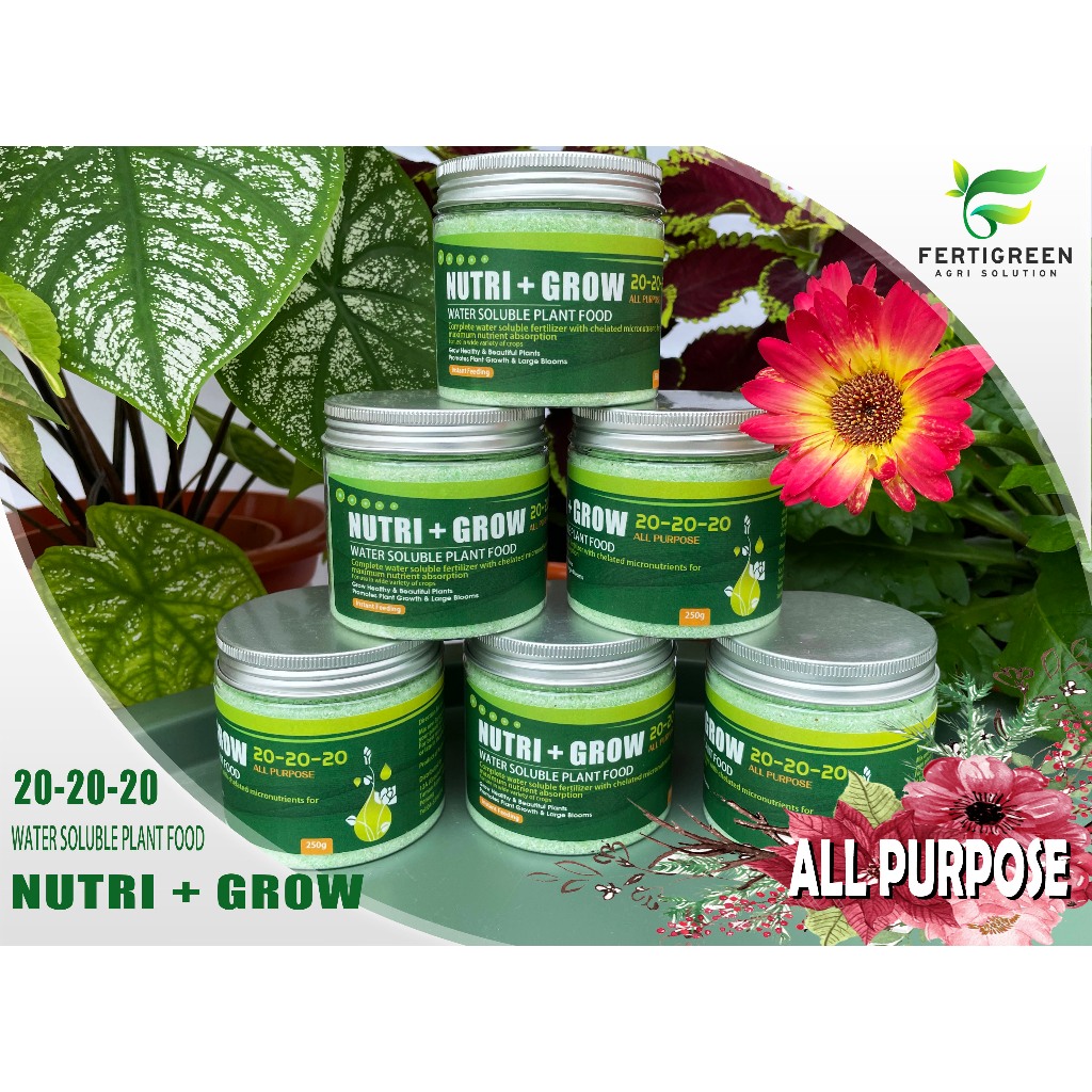 (250g) NUTRI + GROW BAJA AIR UNTUK BUNGA, BUAH, SAYUR DAN DAUN/ BAJA ...