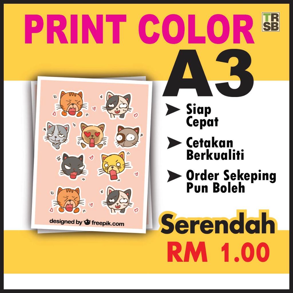 Bundle 50pcs Print A3 Full Color Laser | Document Printing | Poster A3 ...