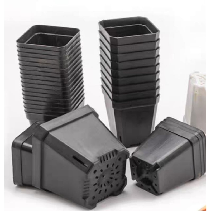 Square Black Plastic Pot, 5cm 7cm 10cm Suitable for Cacti And ...