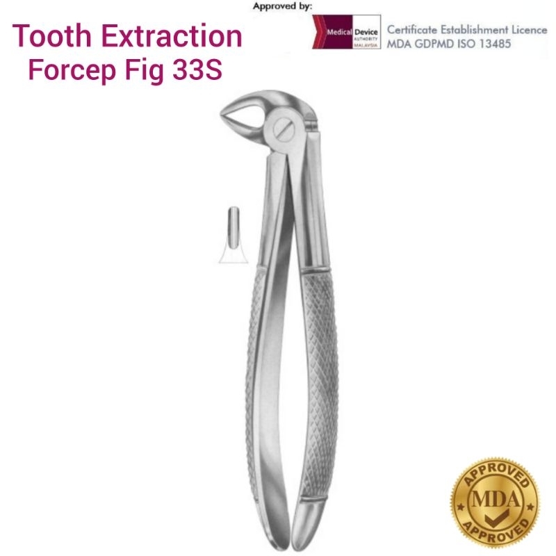 Dental Tooth Extraction Forceps Fig 33S lower roots for Children ...