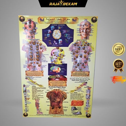Poster Panduan Bekam / Poster 9in1 / Peta Titik Bekam A3 / Poster Titik ...