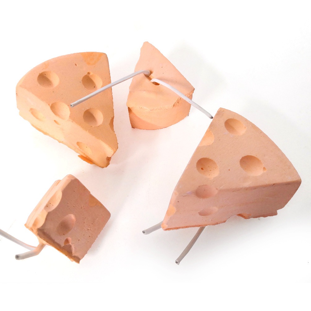 Hamster Cheese Shape molars calcium stone chinchilla squirrel molars ...