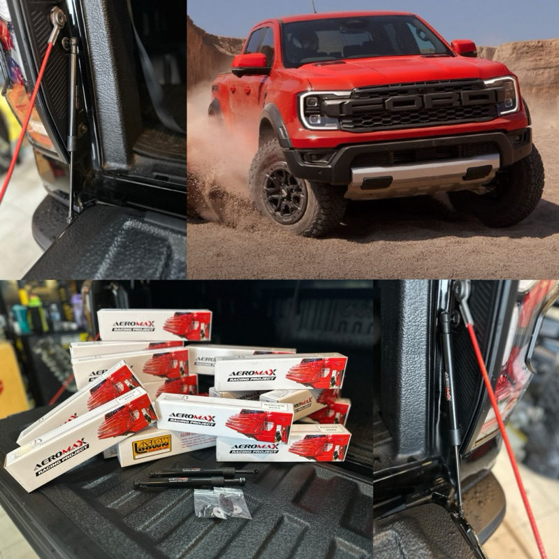 Aeromax Premium Grade Double Shocks Slow Down Tail Gate Assist for Ford ...