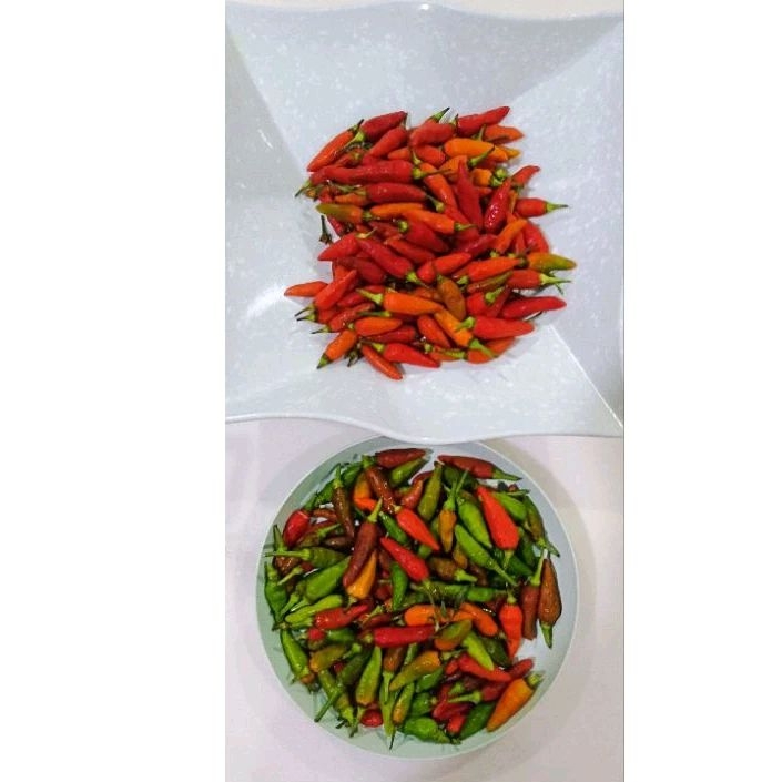 CILI🌶️ RAWIT PEDASS 🔥SEGAR!!! (100GRAM) | Shopee Malaysia