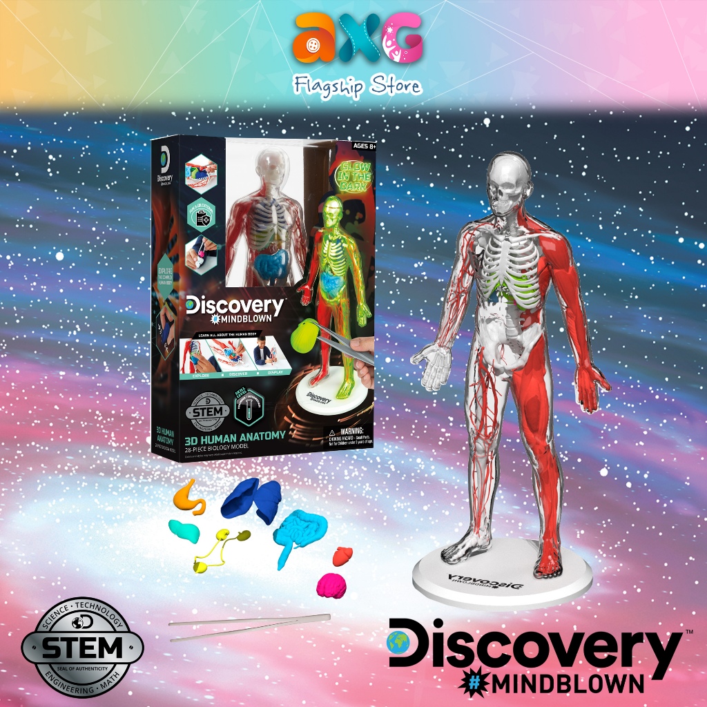 Discovery Mindblown Toy 3D Human Anatomy Kit (1423015831) Educational ...