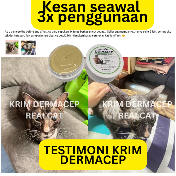 Realcat Krim Kurap Kudis Luka Sporo Ringworm Gatal Fungus Krim Cream ...