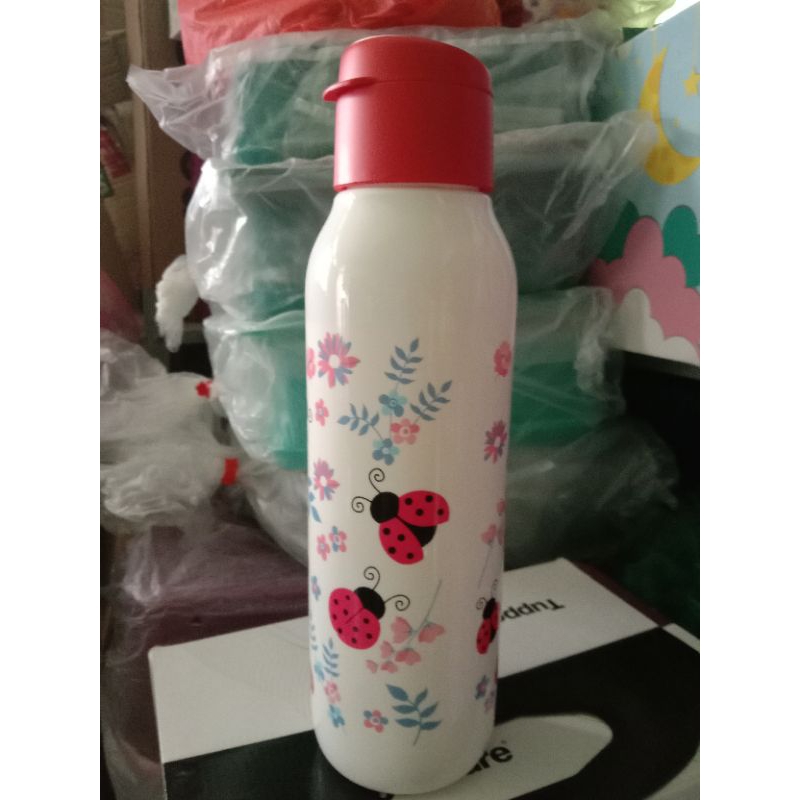 Eco botol lady bug tupperware | Shopee Malaysia