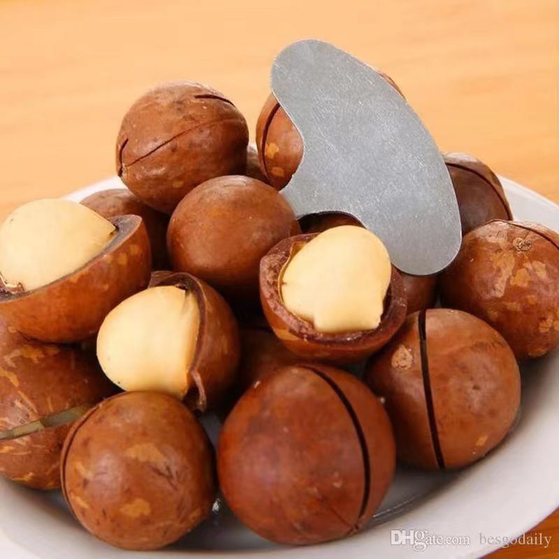 Macadamia Nuts 500g - Ready To Eat -Free KUNCI 1 Macadamia Key | Shopee ...