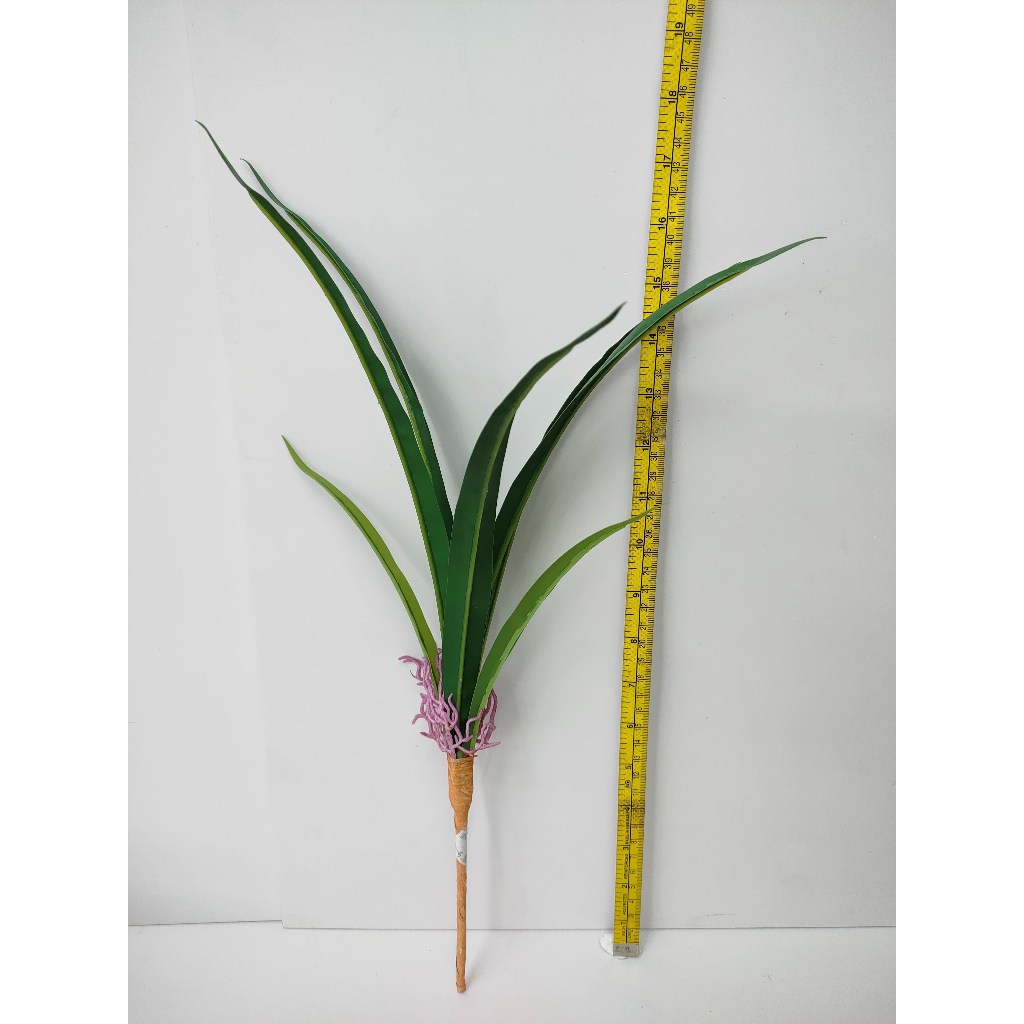 Daun daun okid orchid jambak dekorasi bunga | Shopee Malaysia