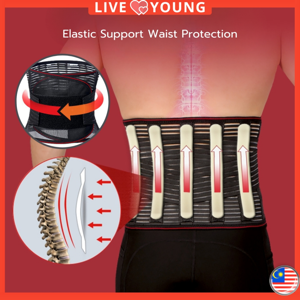 Waist Lower Back Support Belt Lumbar Brace Guard Scoliosis Sciatica ...