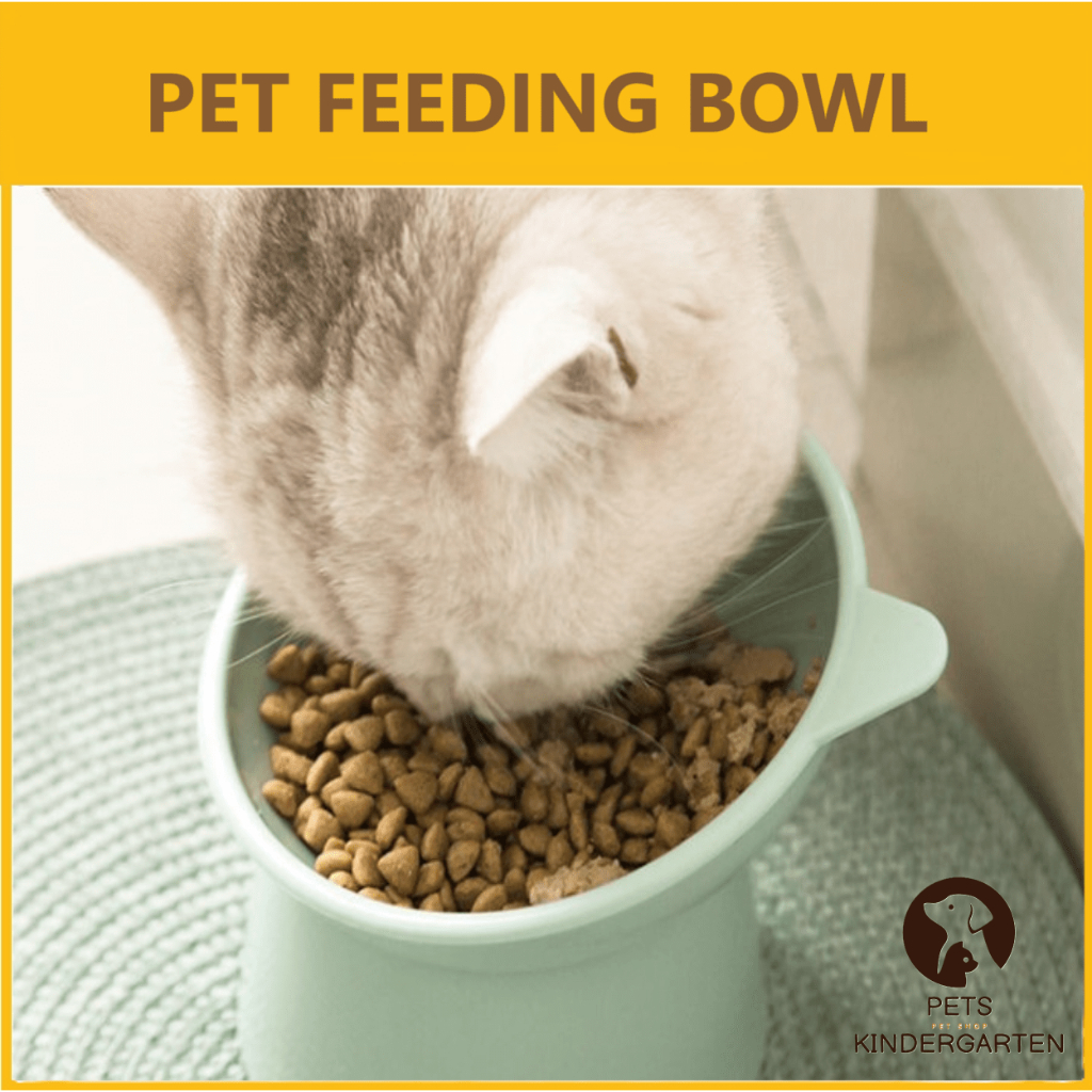 Elevated & Angled Cat Bowl - Neck-Friendly Design Mangkuk Kucing Tinggi ...