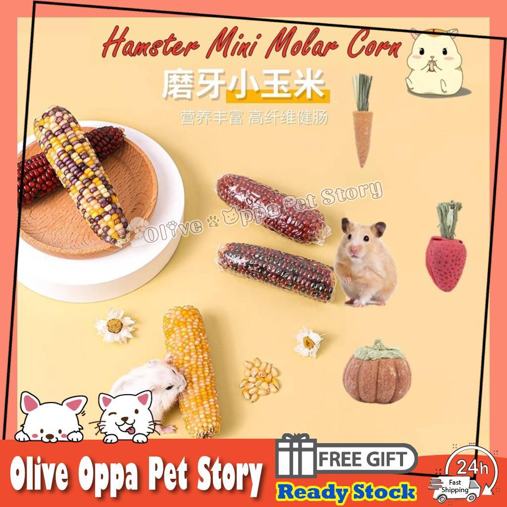 🐹【READY-STOCK】Hamster Mini molar corn small corn 🌽 golden bear rabbit ...