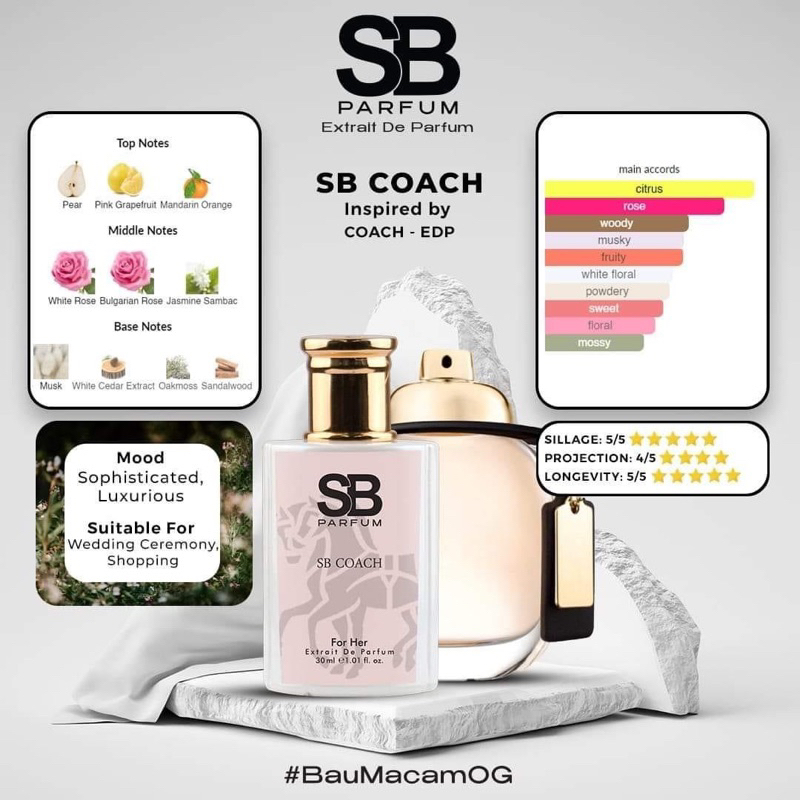 SB coach by sugarbomb edp - 30ml | Shopee Malaysia