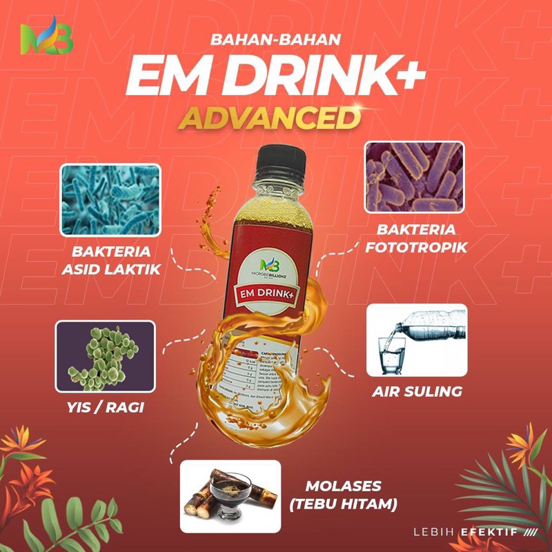 SOLUSI BATUK BERKAHAK | Shopee Malaysia
