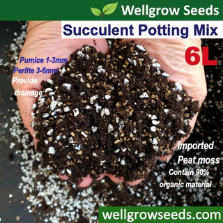 Wellgrow Seeds Official Store, Online Shop | Shopee Malaysia