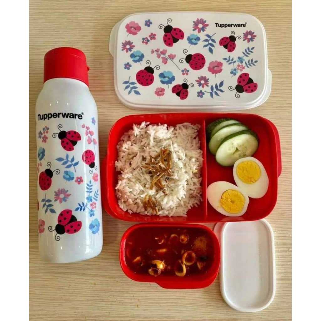 Tupperware FoodieBuddy Whimsical set (560ml Big Outside + 120ml Small ...