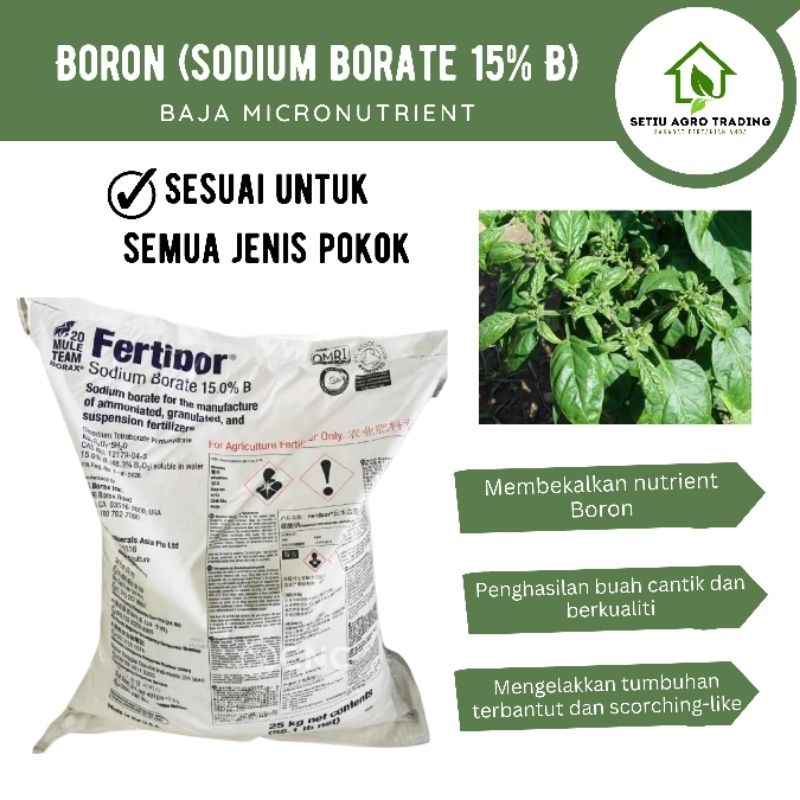 Sodium Borate 15% | Borax Fertilizer | Baja Boron Fertibor | Baja Bunga ...