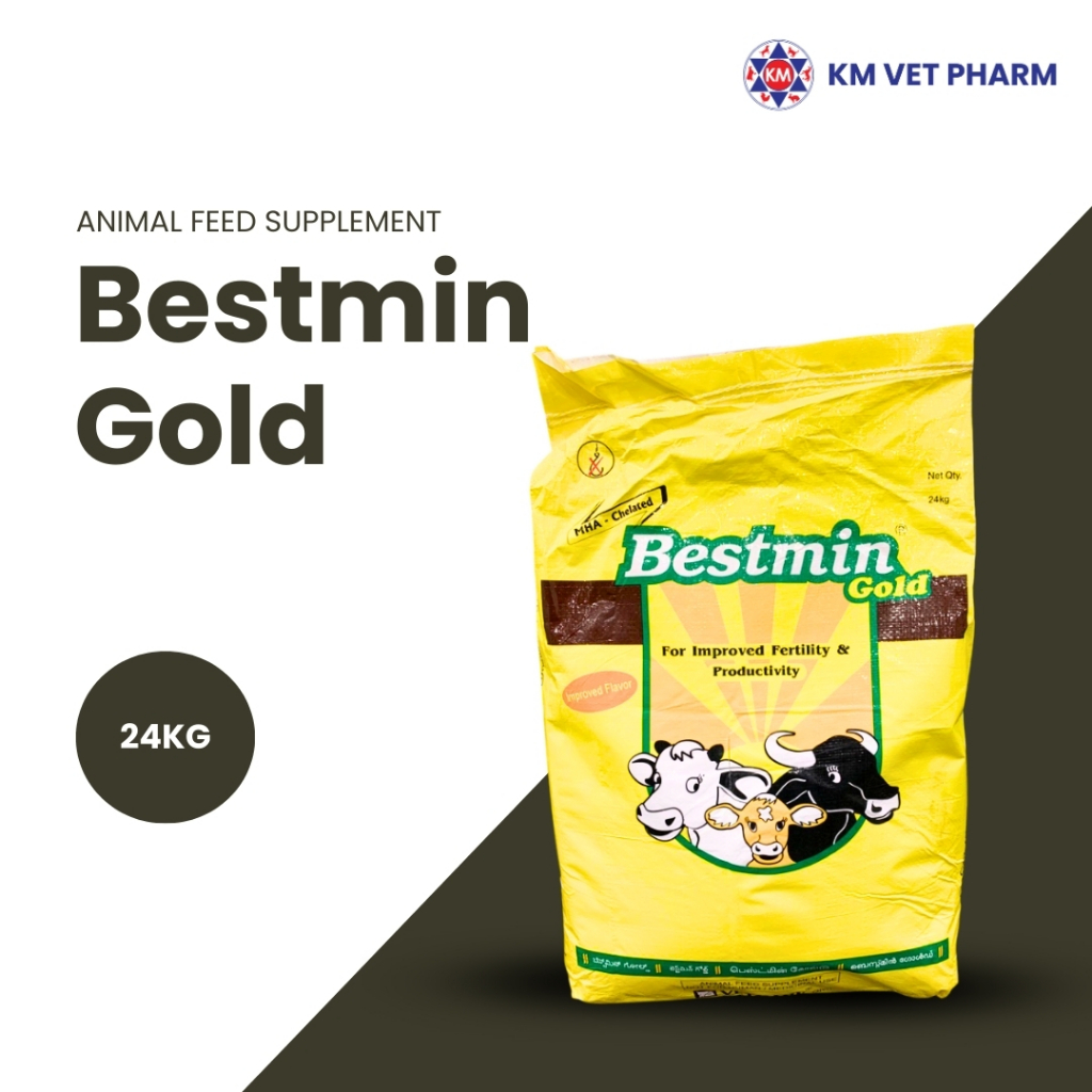Bestmin Gold 24KG Multivitamin | Meningkatkan kesuburan, kesihatan ...