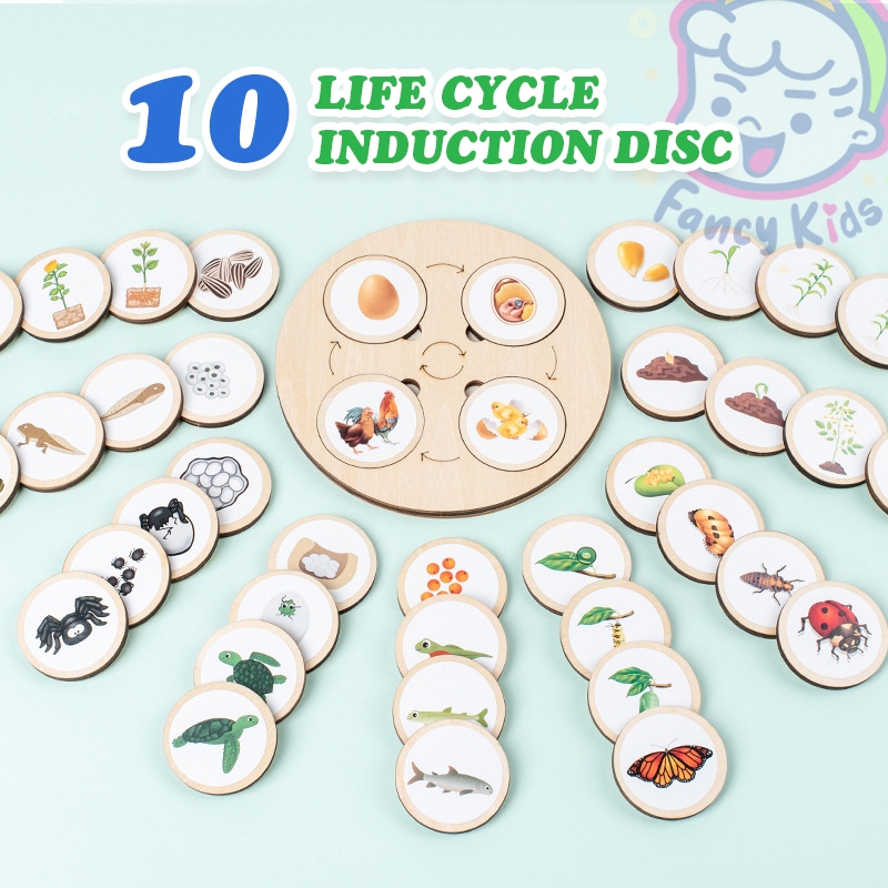 Montessori Life Cycle Puzzle Board Kit/Wooden Life Cycle Puzzle Kit of ...