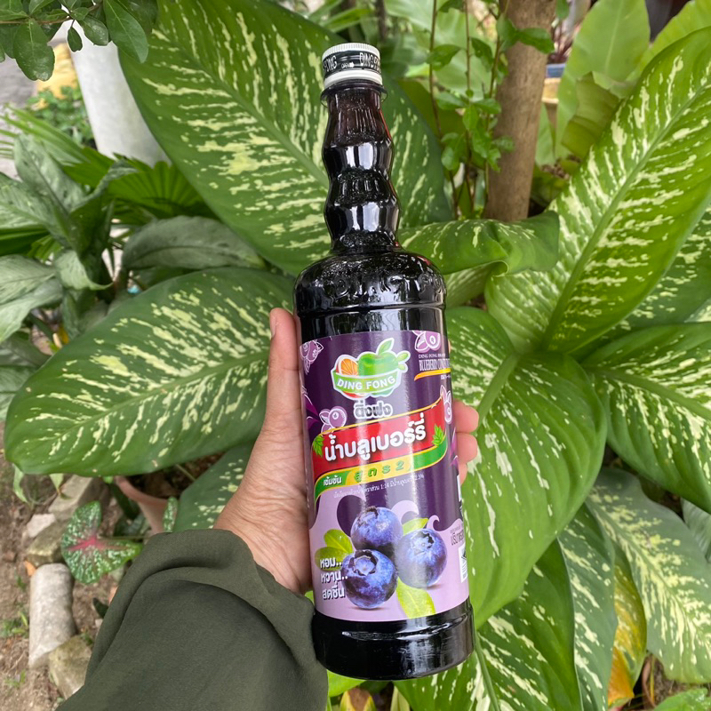 KORDIAL BUAH BUAHAN DING FONG | Shopee Malaysia