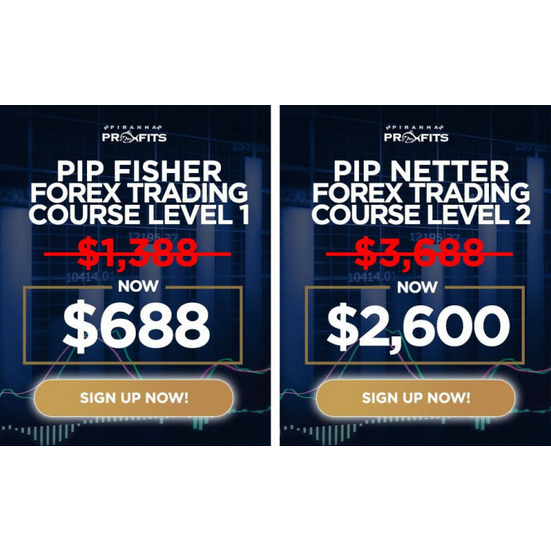 [2021 Updated] Piranha Profits Forex Level 1 : Pip Fisher and Level 2 : Pip Netter Adam Khoo ...