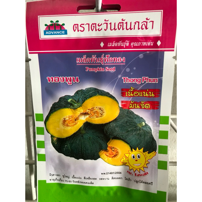 5g Biji Benih Labu Manis Advance Seed / Labu Thong Phun | Shopee Malaysia