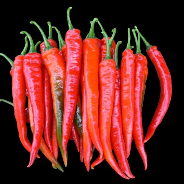 Cili Besar Kulai F1 buah lebat ( 20 Biji Benih ) | Shopee Malaysia