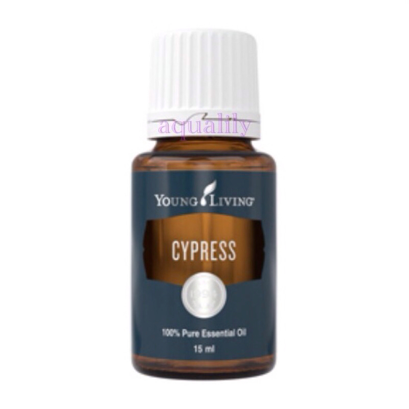 Young Living Cypress Essential Oil 1ml (Repack) / 2ml (Repack) | Shopee ...